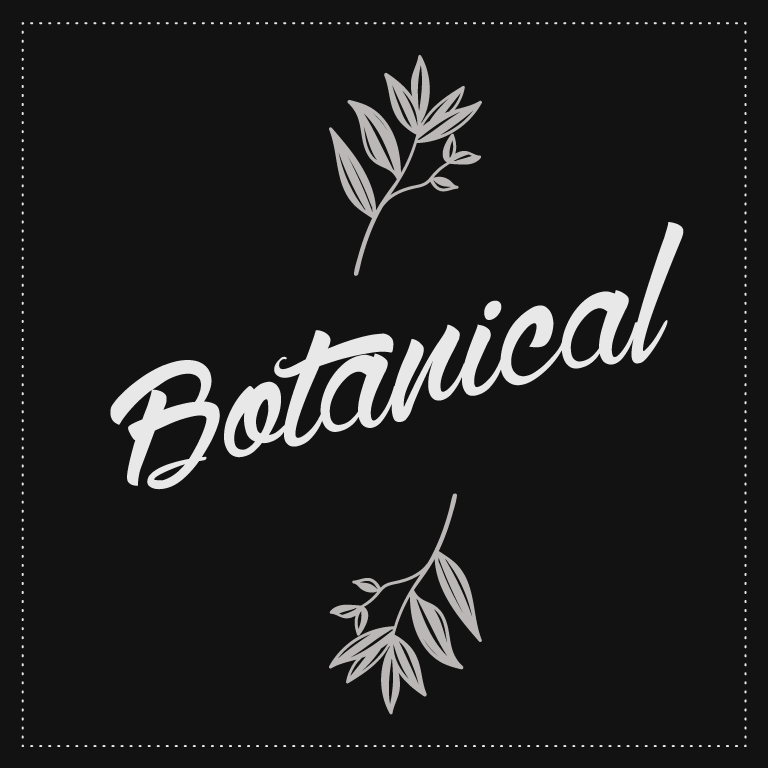 Botanical Car Diffusers – Lyssium